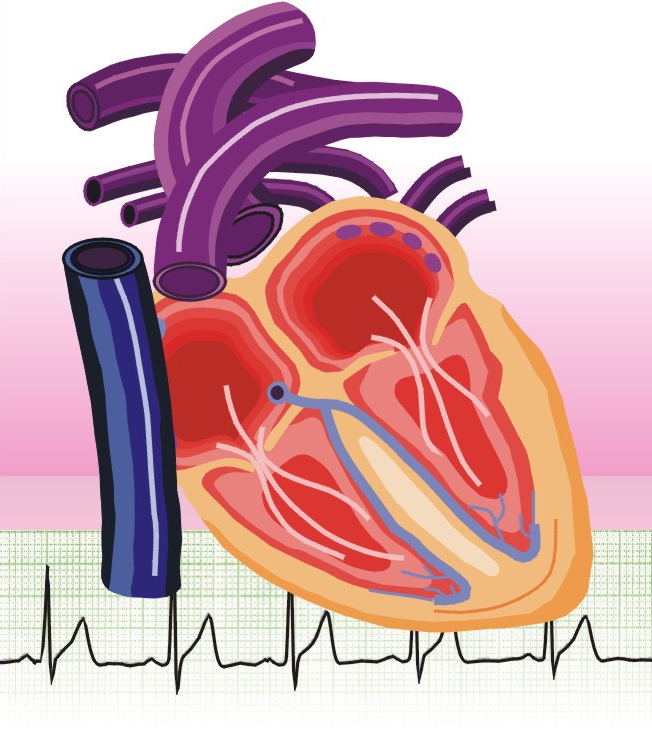 OSNOVNA ŠOLA POLJANE